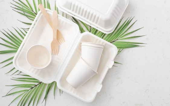 What is Plastic Free Packaging and How Does It Benefit the Environment ...